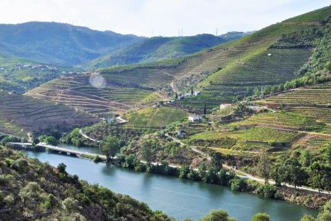DOURO CRUISE, FROM RÉGUA TO BARCA D'ALVA, UPSTREAM DOURO CRUISES ...