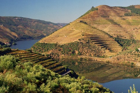 CROISIÈRE DE RÉGUA À BARCA D'ALVA, MONTÉE EN BATEAUX CROISIÈRES DOURO ...